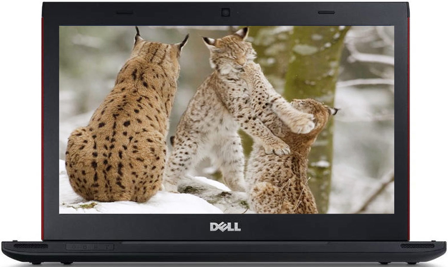 Ноутбук Dell Vostro V131 Red (V131Hi2350X4C500BLLred) купить | Elmir ...
