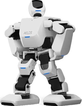 Робот Leju Robot Aelos Robot (AL-EN-E1E) купить | ELMIR - цена, отзывы ...