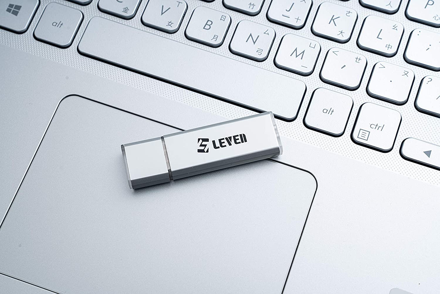 USB флеш накопитель 32GB Leven Royal Line Silver (JUR302SL-32M) купить ...