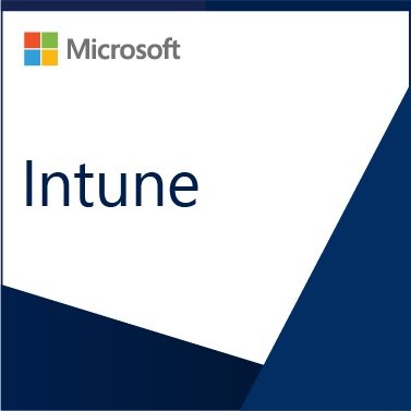Microsoft Intune Device P1Y Annual License (CFQ7TTC0LCH4_0004_P1Y_A ...