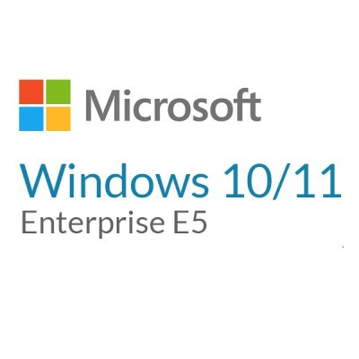Microsoft Windows 10/11 Enterprise E5 P1Y Annual License (CFQ7TTC0LFNW ...