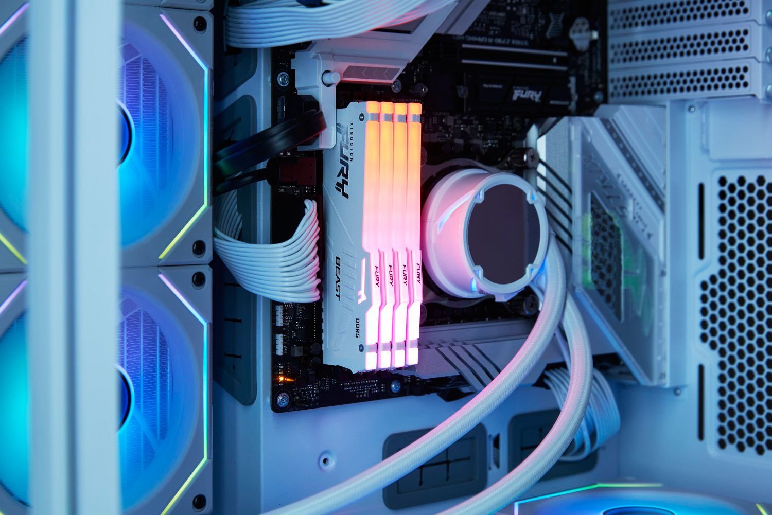 Модуль памяти Kingston Fury DDR5 16GB 5600MHz Beast White RGB (KF556C40BWA-16) купить | ELMIR ...