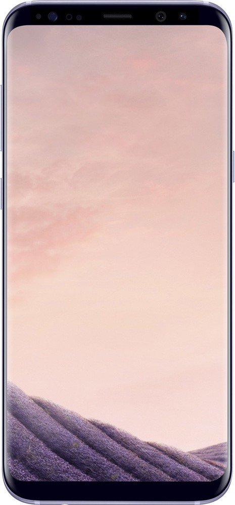 Мобильный телефон Samsung G950FD Galaxy S8 Orchid Gray (SM-G950FZVDSEK ...